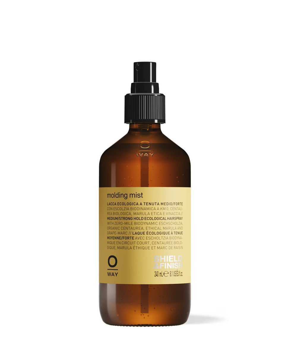 molding mist – Salon True